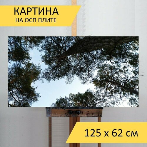 Картина на ОСП 125х62 см. "Лес, небо, сосны" горизонтальная, для интерьера, с креплениями