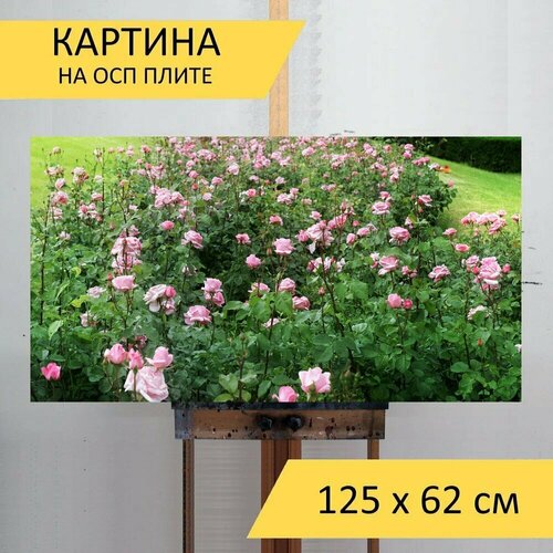 Картина на ОСП 125х62 см. "Флора, розовый, розы" горизонтальная, для интерьера, с креплениями