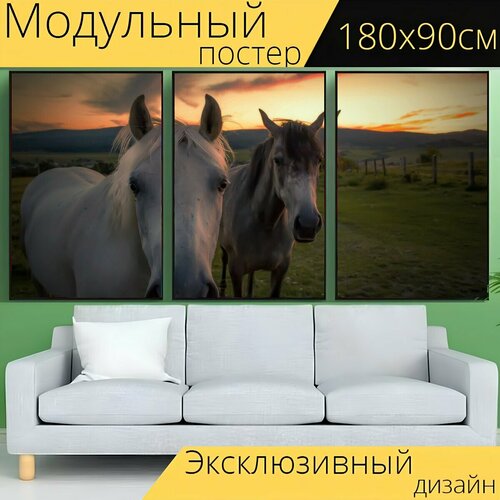 Модульный постер "Конь, лошади, природа" 180 x 90 см. для интерьера