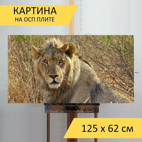 Картина на ОСП 125х62 см. "Лев, дикой природы, африке" горизонтальная, для интерьера, с креплениями