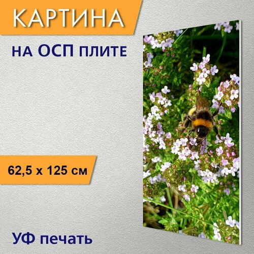 Вертикальная картина на ОСП "Пчела, шмель, насекомое" 62x125 см. для интерьериа