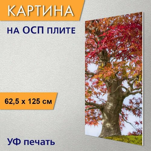 Вертикальная картина на ОСП "Бонсай, клен, японский клен" 62x125 см. для интерьериа
