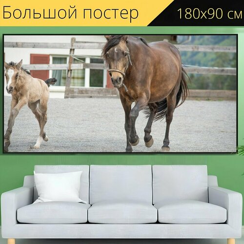 Большой постер "Жеребенок, лошадь, животные" 180 x 90 см. для интерьера