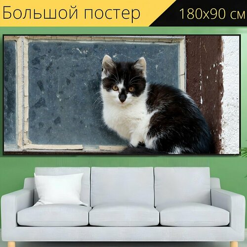 Большой постер "Кот, котенок, домашнее животное" 180 x 90 см. для интерьера