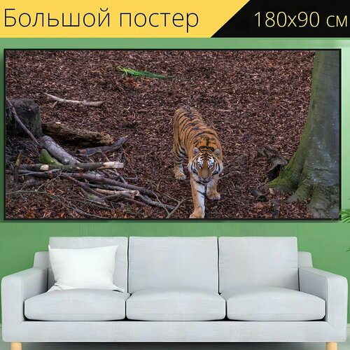 Большой постер "Тигр, природа, хищник" 180 x 90 см. для интерьера