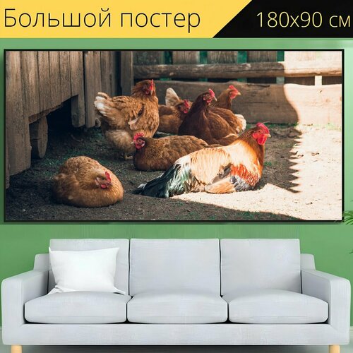 Большой постер "Домашняя птица, курица, отдых" 180 x 90 см. для интерьера