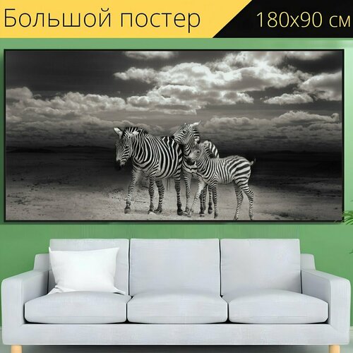 Большой постер "Зебры, дикие животные, зебру" 180 x 90 см. для интерьера