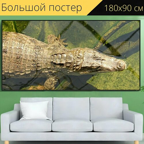 Большой постер "Крокодил, рептилия, ящерица" 180 x 90 см. для интерьера