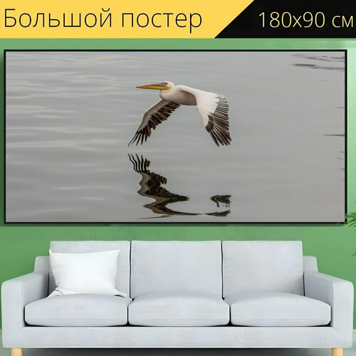 Большой постер "Пеликан, вода, птица" 180 x 90 см. для интерьера