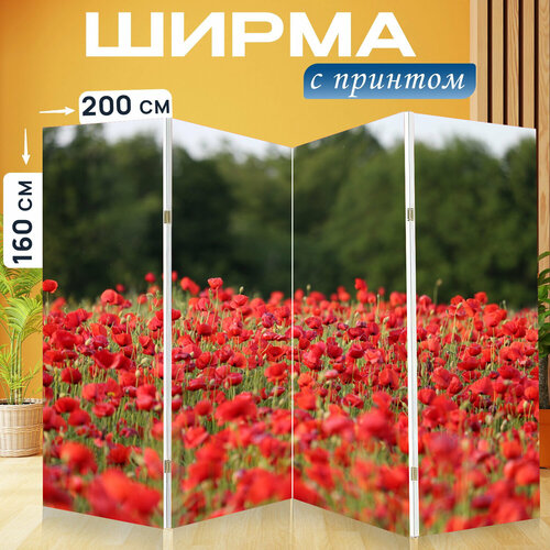 Ширма перегородка с принтом "Красные маки, цветок, цветущий" на холсте - 200x160 см. для зонирования, раскладная
