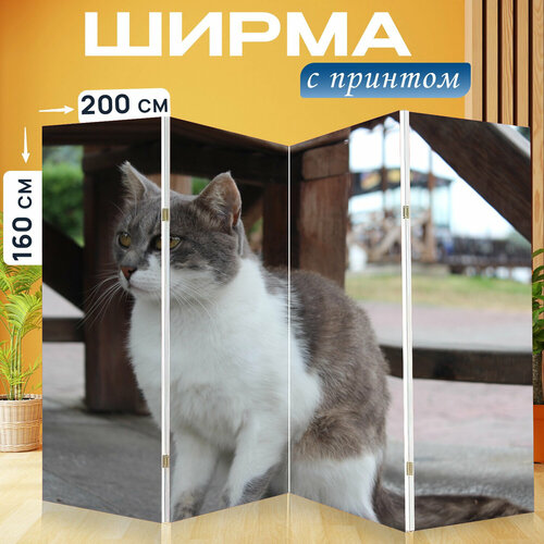 Ширма перегородка с принтом "Кошка, животное, полосатый кот" на холсте - 200x160 см. для зонирования, раскладная