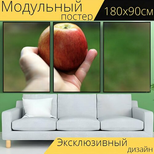 Модульный постер "Яблоко, фрукты, рука" 180 x 90 см. для интерьера