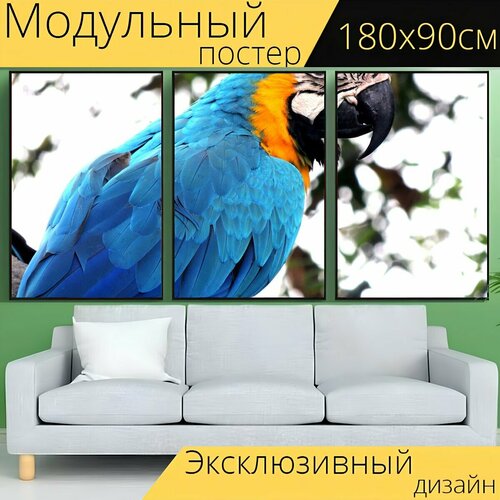 Модульный постер "Ара, птица, животное" 180 x 90 см. для интерьера
