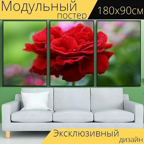 Модульный постер "Роуз, красный, цветы" 180 x 90 см. для интерьера