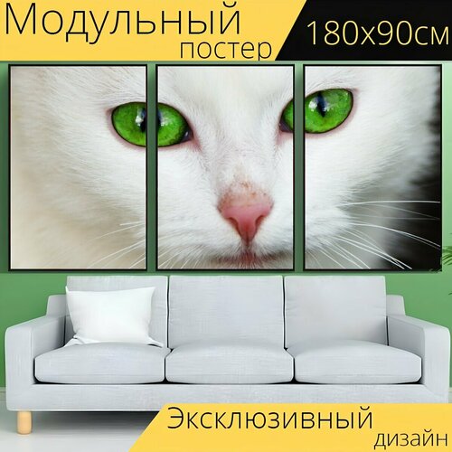 Модульный постер "Животное, кошка, одомашненный" 180 x 90 см. для интерьера