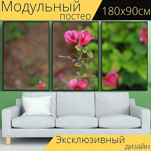 Модульный постер "Сибирском, бугенвилии, бумажный цветок" 180 x 90 см. для интерьера