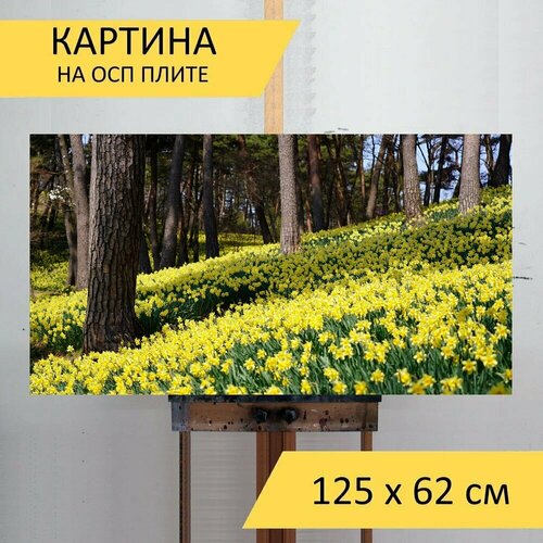 Картина на ОСП 125х62 см. "Нарцисс, цветок, весна" горизонтальная, для интерьера, с креплениями