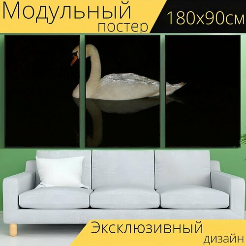Модульный постер "Лебедь, отражение, озеро" 180 x 90 см. для интерьера