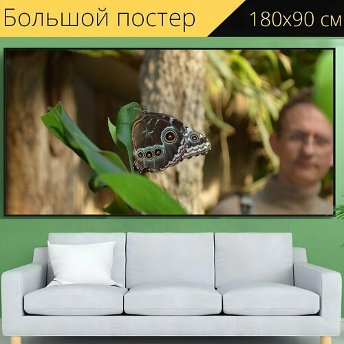 Большой постер "Бабочка, ботаника, животное" 180 x 90 см. для интерьера