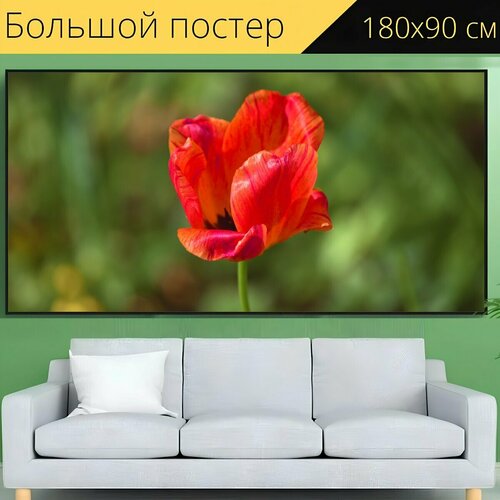 Большой постер "Тюльпан, цветок, завод" 180 x 90 см. для интерьера