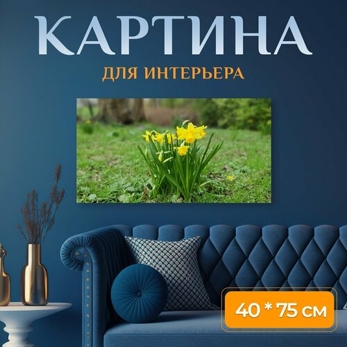 Картина на холсте "Нарциссы, цветы, весна" на подрамнике 75х40 см. для интерьера