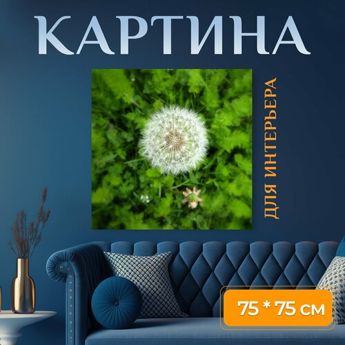 Картина на холсте "Одуванчик, сорняк, цветок" на подрамнике 75х75 см. для интерьера