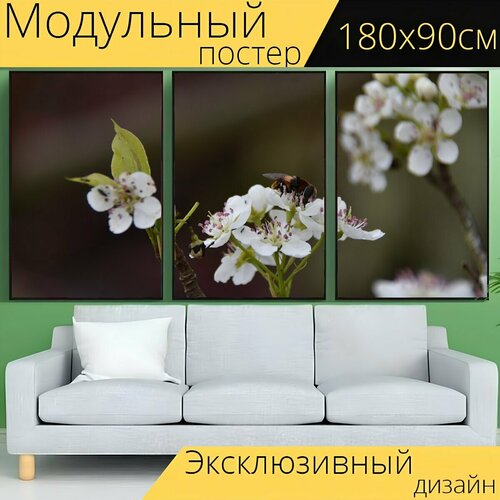 Модульный постер "Цветок груши, весна, белый" 180 x 90 см. для интерьера