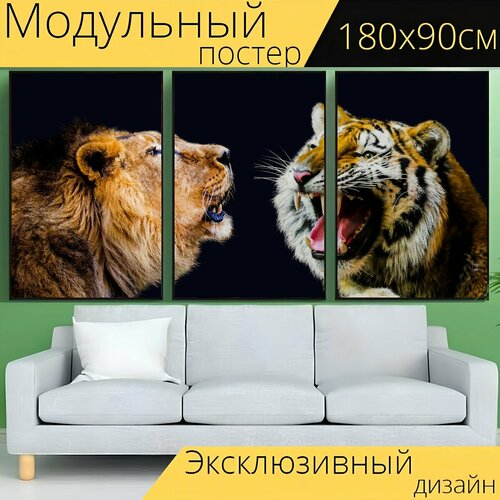 Модульный постер "Животное, лев, тигр" 180 x 90 см. для интерьера