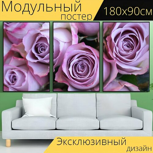 Модульный постер "Розы, фиолетовый, цветы" 180 x 90 см. для интерьера