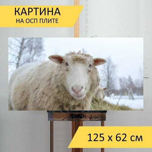 Картина на ОСП 125х62 см. "Овец, животное, зима" горизонтальная, для интерьера, с креплениями