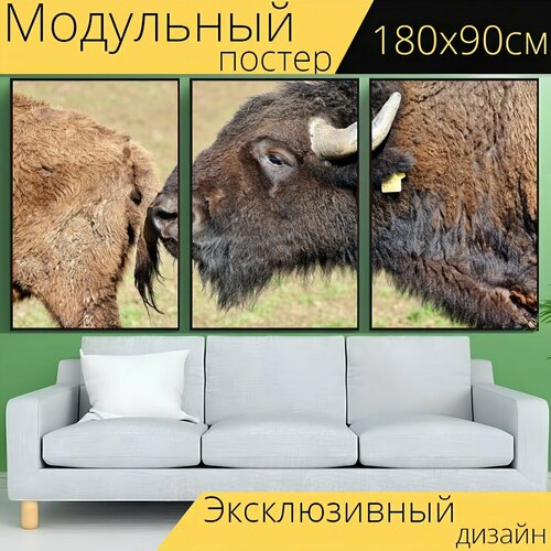 Модульный постер "Зубр, буйвол, рога" 180 x 90 см. для интерьера