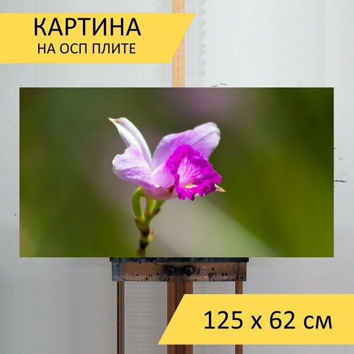 Картина на ОСП 125х62 см. "Цветок, природа, фиолетовый" горизонтальная, для интерьера, с креплениями