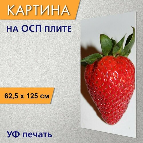Вертикальная картина на ОСП "Клубника, ягода, красный" 62x125 см. для интерьериа