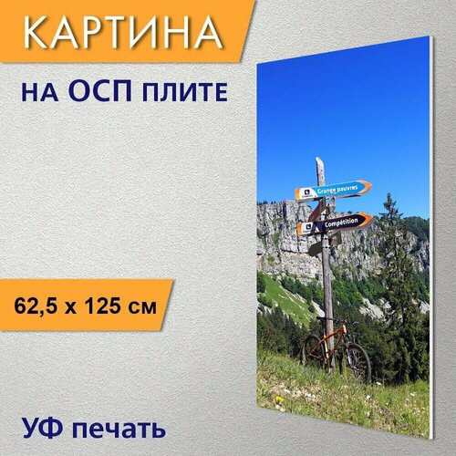 Вертикальная картина на ОСП "Горный велосипед, поклялся, природа" 62x125 см. для интерьериа