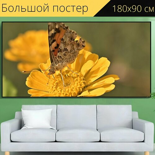 Большой постер "Бабочка, цветок, ванесса кардуи" 180 x 90 см. для интерьера