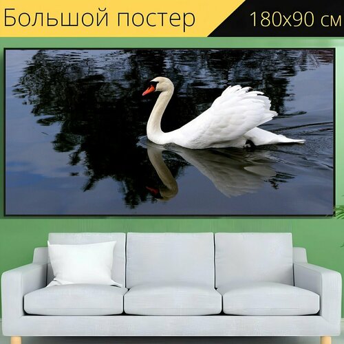 Большой постер "Лебедь, птица, воды" 180 x 90 см. для интерьера