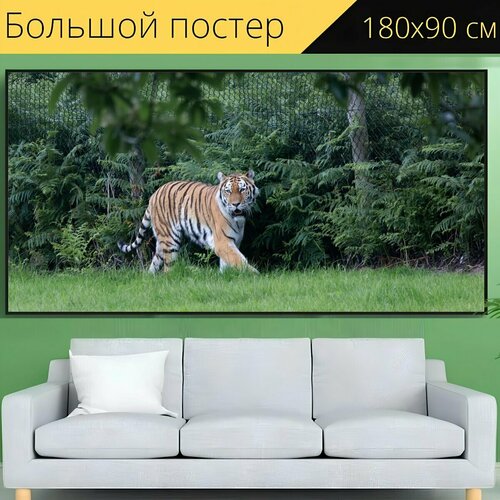 Большой постер "Тигр, хищник, охотник" 180 x 90 см. для интерьера