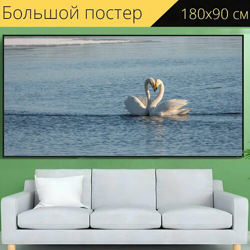 Большой постер "Лебедь, белый, птица" 180 x 90 см. для интерьера