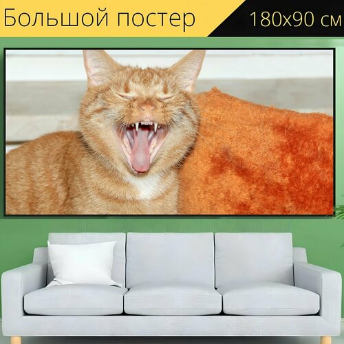 Большой постер "Кот, домашняя кошка, красный" 180 x 90 см. для интерьера