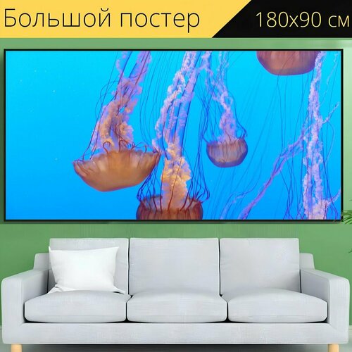 Большой постер "Океан, медуза, аквариум" 180 x 90 см. для интерьера