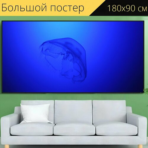 Большой постер "Желе рыбы, синий, вода" 180 x 90 см. для интерьера