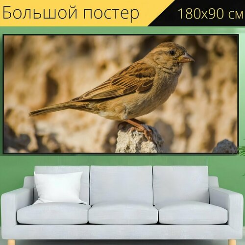 Большой постер "Воробей, природа, птица" 180 x 90 см. для интерьера