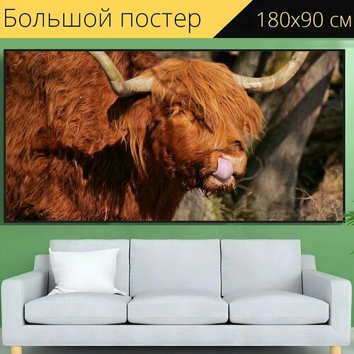 Большой постер "Высокогорная корова, крупного рогатого скота, животные" 180 x 90 см. для интерьера