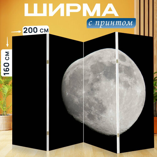 Ширма перегородка с принтом "Луна, ночь, свет луны" на холсте - 200x160 см. для зонирования, раскладная