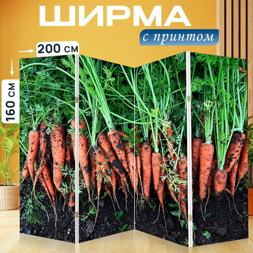 Ширма перегородка с принтом "Овощи, морковь, еда" на холсте - 200x160 см. для зонирования, раскладная