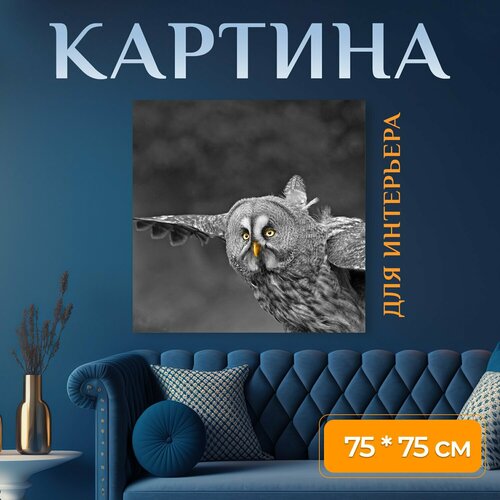 Картина на холсте "Сова, полет, оперение" на подрамнике 75х75 см. для интерьера