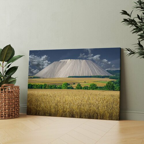 Картина на холсте "Большая белая гора посреди пшеничного поля" 20x30 см. Интерьерная, на стену.