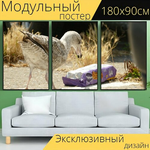 Модульный постер "Чайка, птица, фауна" 180 x 90 см. для интерьера