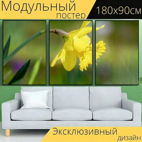 Модульный постер "Нарцисс, весенний цветок, предвестником весны" 180 x 90 см. для интерьера