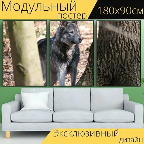 Модульный постер "Волкодав, собака, животные" 180 x 90 см. для интерьера